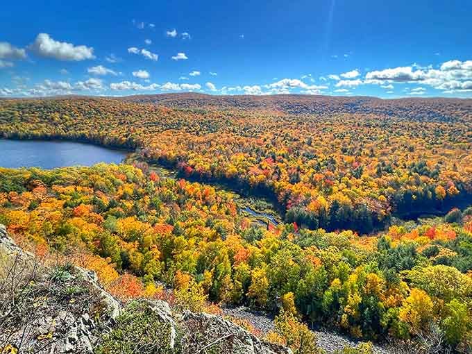 Autumn's grand finale painted across the landscape, proving Michigan knows how to put on a show.