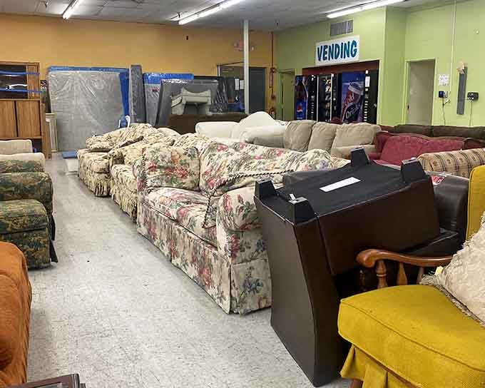 Couches and chairs gather like old friends at a reunion, each with stories to tell and comfort to offer.