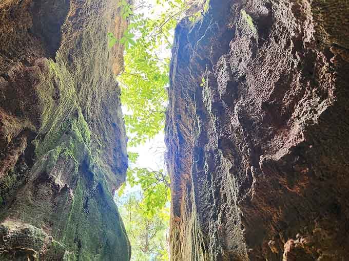 Looking up through ancient rock walls where moss and time have carved nature's own cathedral—pure geological poetry.