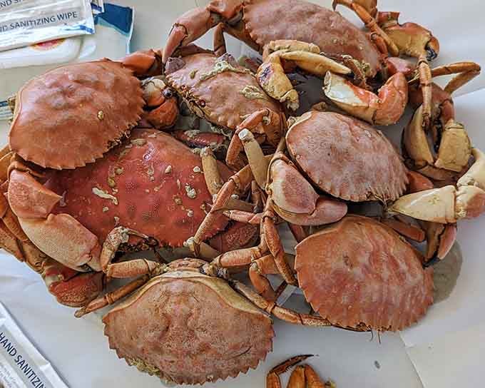 This glorious pile of crabs looks like a family reunion, and you're invited to the feast.