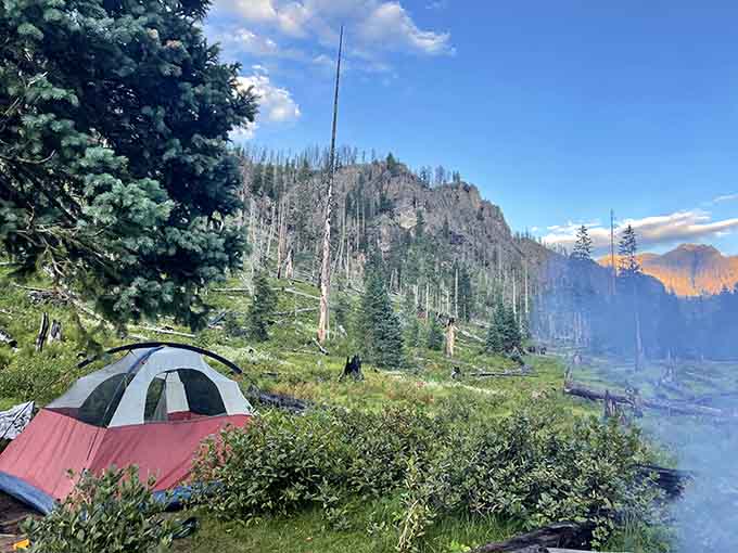 Camping near the springs means waking up to steam rising off the water like morning coffee for your eyes.