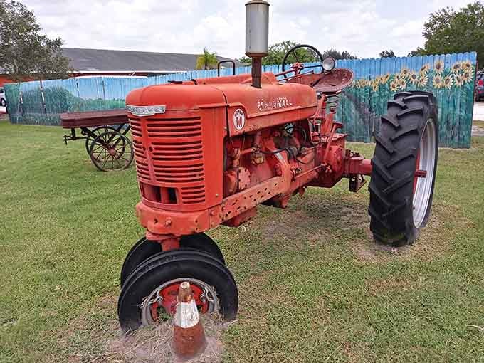This vintage tractor has seen more Florida sunrises than most of us ever will.