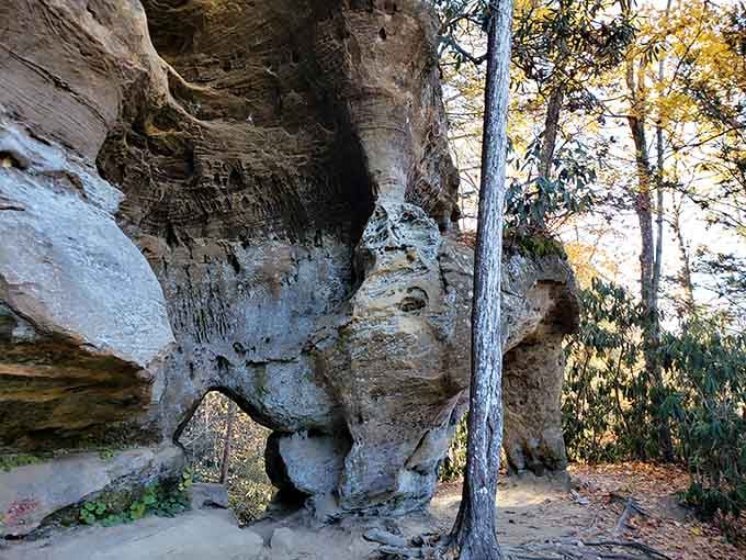These weathered sandstone layers stacked like geological pancakes tell stories older than your great-great-grandparents' grandparents.