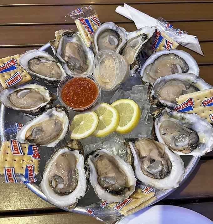 Fresh oysters on ice with crackers and cocktail sauce represent Florida's Gulf Coast on a single beautiful platter.