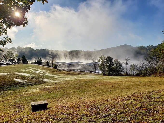 Morning mist rises like nature's special effects, transforming the landscape into something from a peaceful dream sequence.