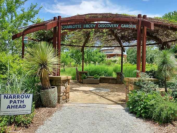 The Discovery Garden invites hands-on exploration, because the best education never feels like homework at all.