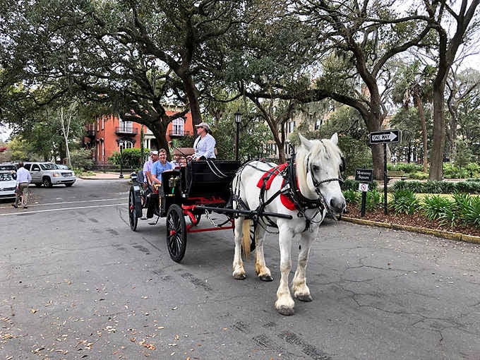 Horse-drawn carriages aren't tourist traps here; they're the perfect pace for absorbing centuries of Southern charm and stories.