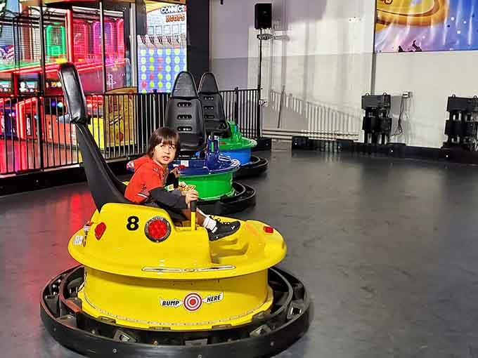 These bumper cars promise sanctioned chaos where ramming your relatives is not only allowed but actively encouraged.