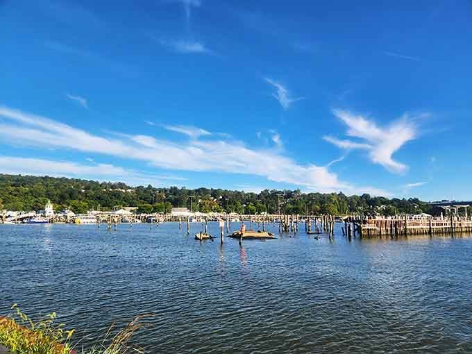 The marina view reminds you that the Hudson has been a working waterway since before Instagram made everything photogenic.