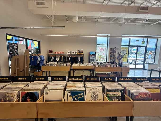 Genre dividers that read like a musical roadmap, guiding you from rock to jazz to everything in between.