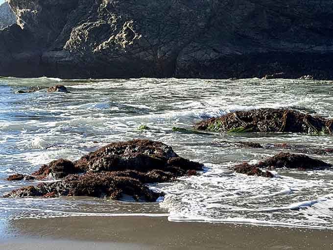 Kelp-covered rocks at the water's edge remind you that this beach is very much alive and thriving.