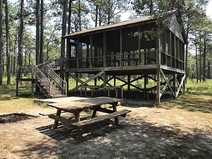 That screened pavilion offers front-row seats to nature's show without the mosquitoes joining you for the performance.