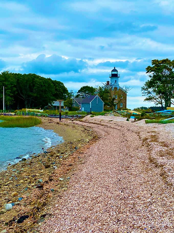 The shell-covered beach invites beachcombing adventures where every step might reveal a small treasure from the sea.