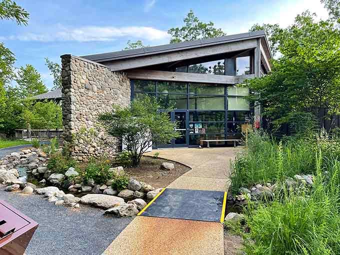 Modern visitor centers prove you can embrace nature without completely abandoning the comforts of contemporary architecture and design.
