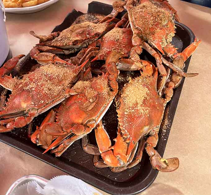 Steamed crabs piled high and dusted with Old Bay, the official currency of summer in Maryland dining.