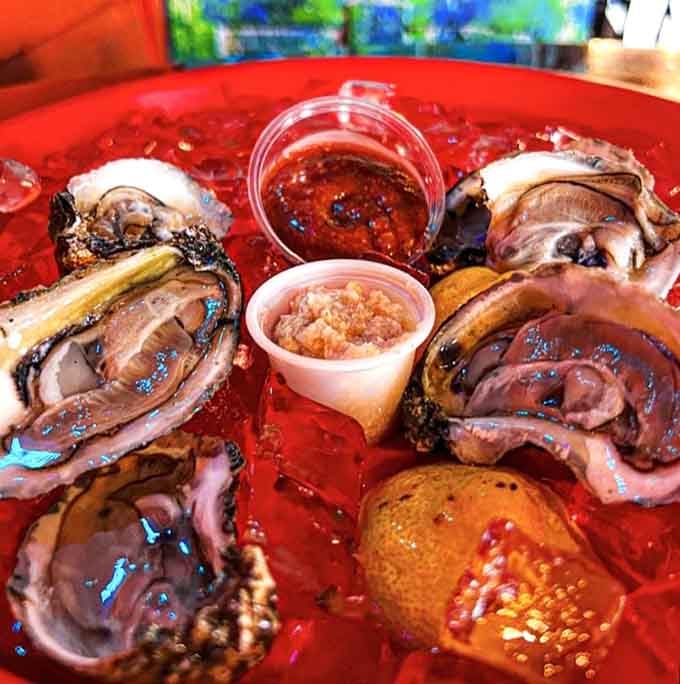 Fresh oysters on the half shell glisten on ice, waiting to transport your taste buds straight to paradise.