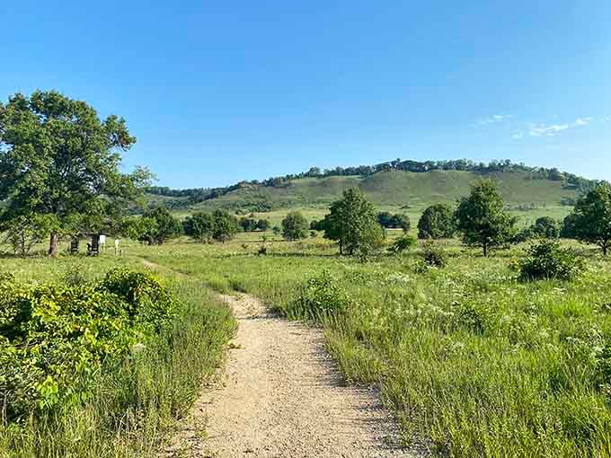 Prairie trails wind through landscapes that look exactly like those nature documentaries, except you're actually in them.