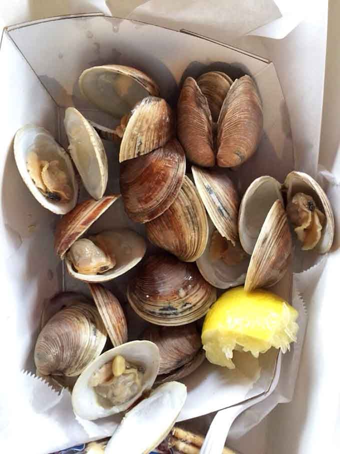 Middleneck clams fresh enough to make you question every clam you've ever eaten before this glorious moment of clarity.