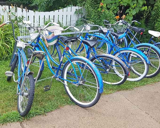 Bright blue cruisers lined up like a cheerful invitation to explore the village at a pace your knees will appreciate.