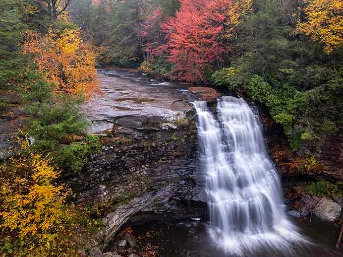 Maryland's highest free-falling waterfall proves good things come to those who make the drive west.