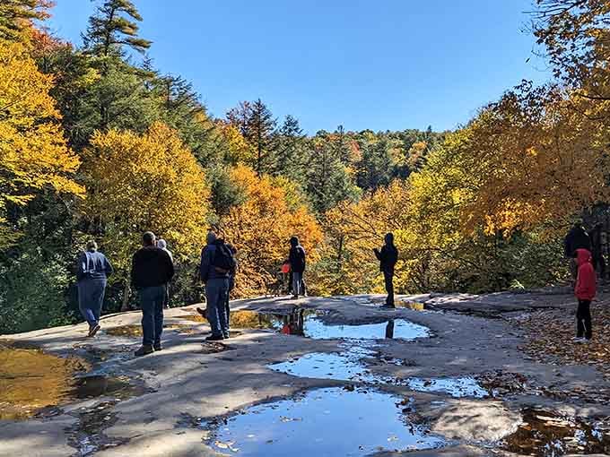 When the foliage is this good, even strangers become impromptu photography models for each other.