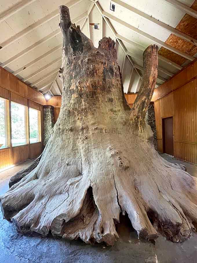 The sheer scale becomes even more apparent from this angle&mdash;nature really wasn't messing around with this one.