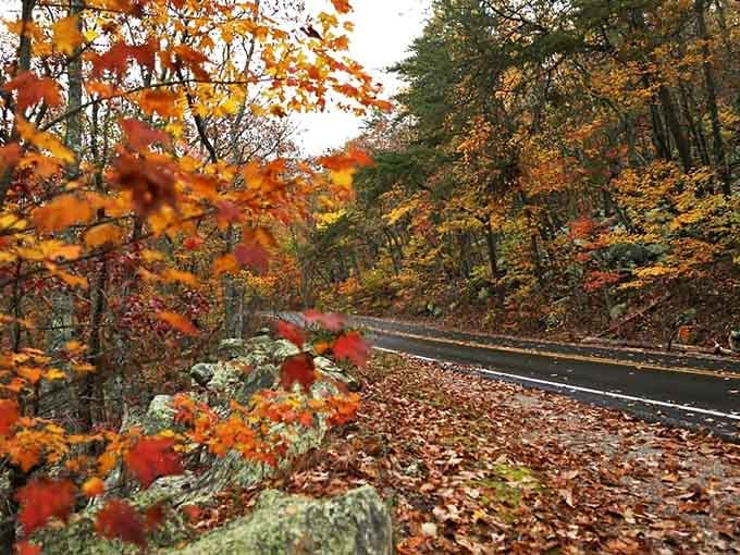 Fall foliage that would make a New England postcard jealous, and you don't even need to leave the Heart of Dixie.