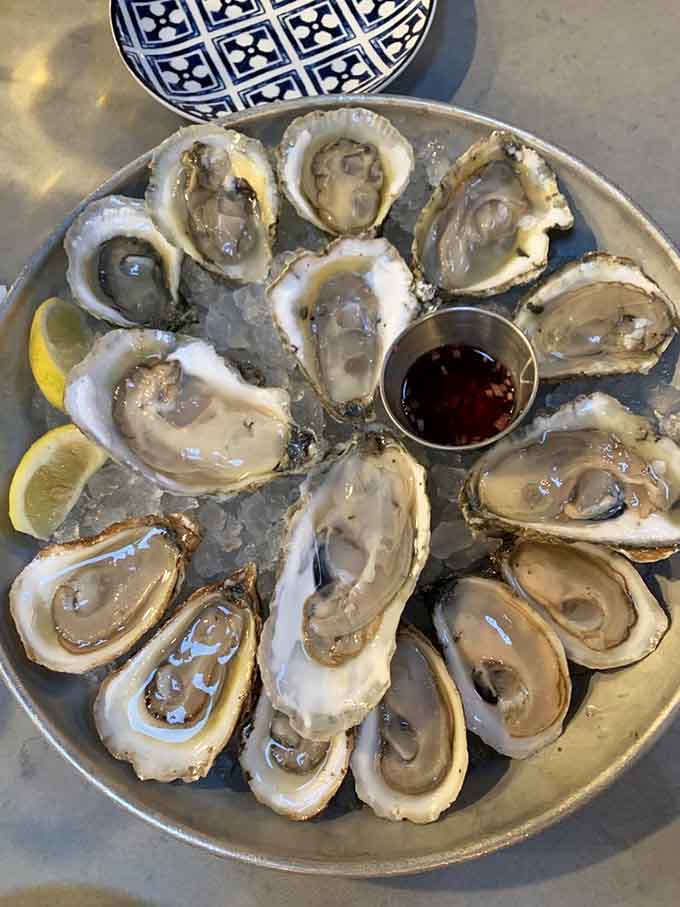 Glistening oysters on ice, nature's perfect appetizer arranged like edible jewels before you.