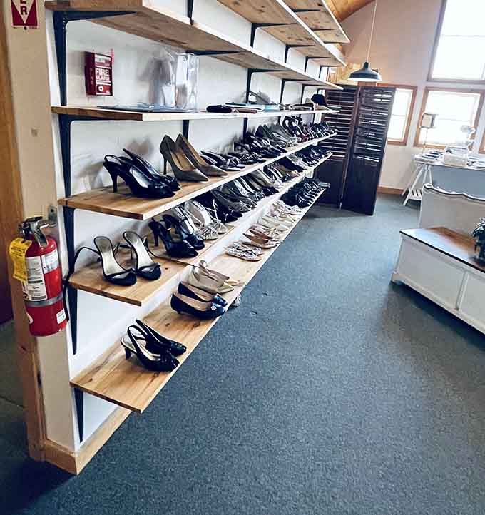 A shoe collection that proves style never really goes out of fashion, just waits for rediscovery.