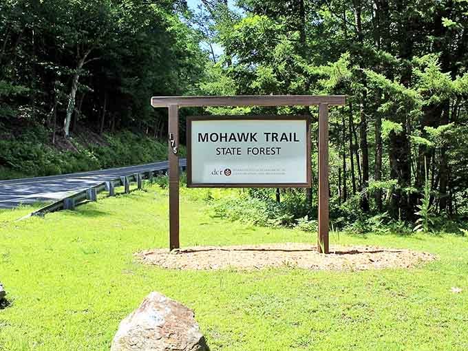 Mohawk Trail State Forest welcomes road-weary travelers to pause and remember what trees smell like up close.