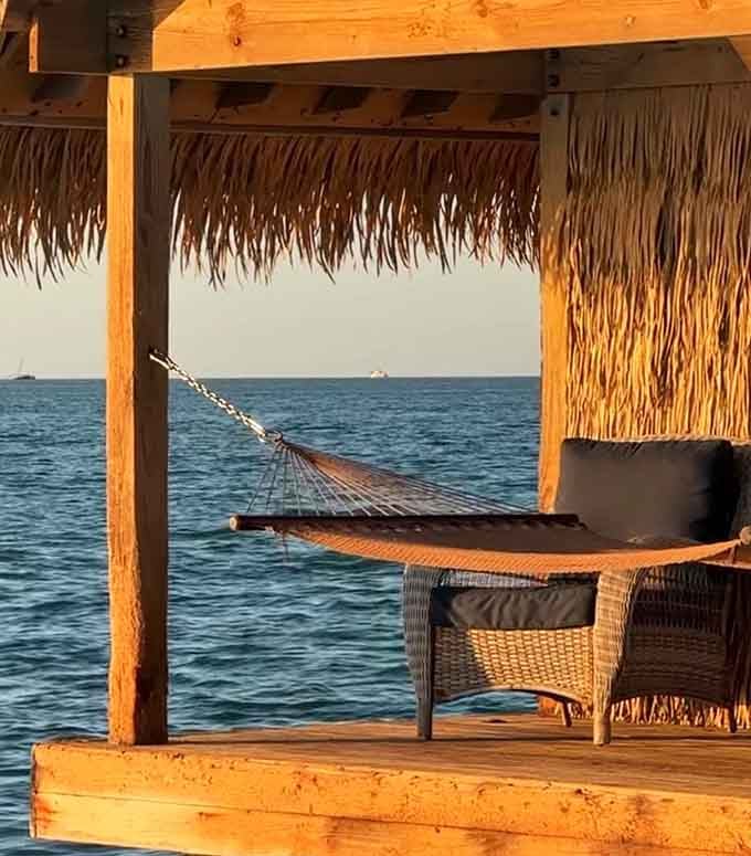 That hammock is calling your name louder than any responsibility ever could, and honestly, you should listen.