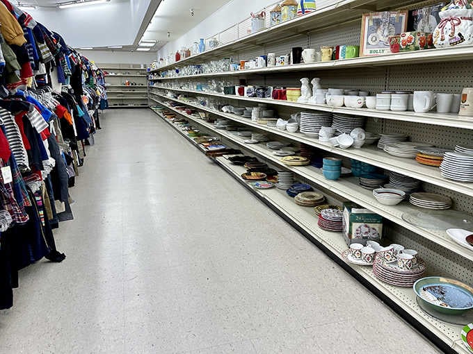 Enough plates and bowls to outfit a restaurant, all at prices that won't break the bank.