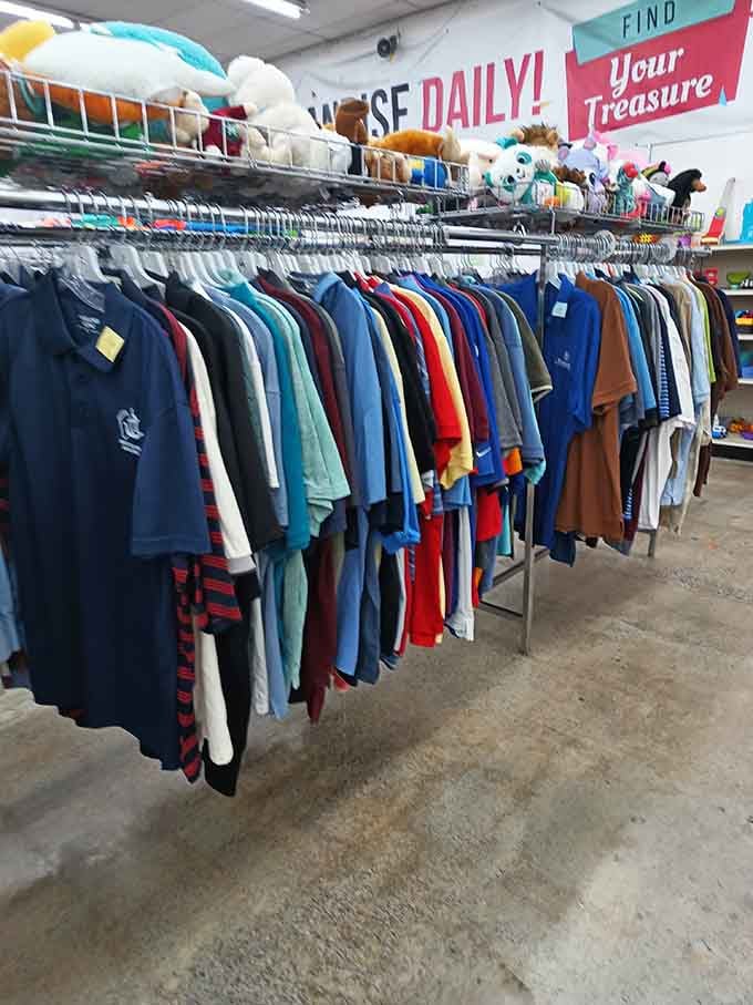 Polo shirts organized by color like a preppy rainbow, because even thrift stores deserve some organizational respect.