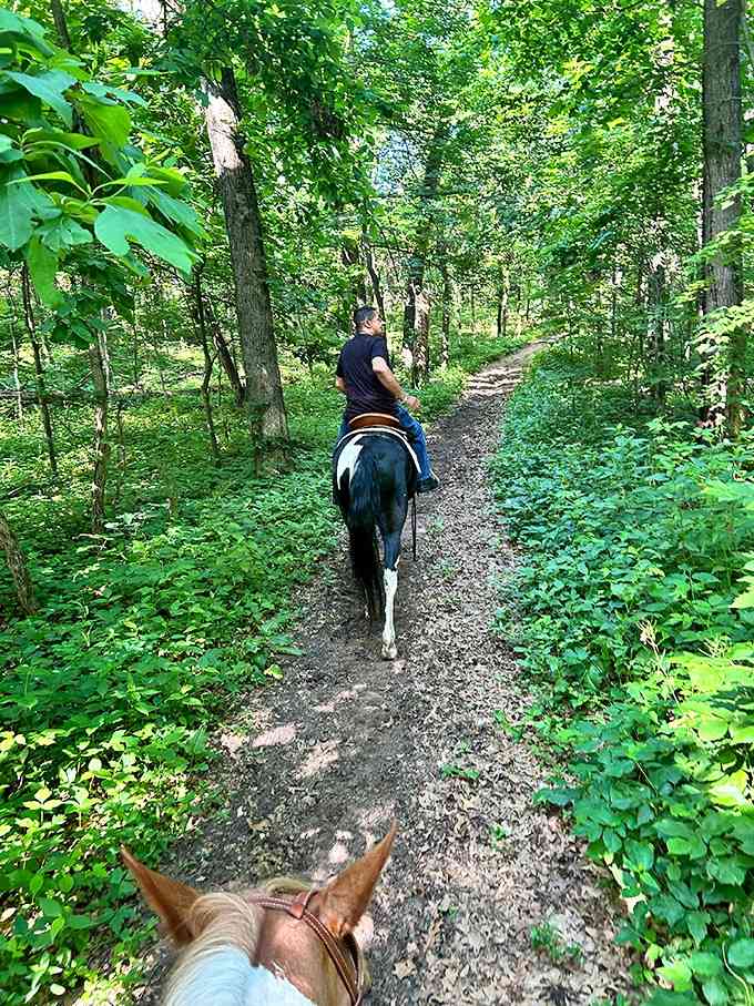 Trail rides where the horses do the navigating and you just enjoy being a passenger.