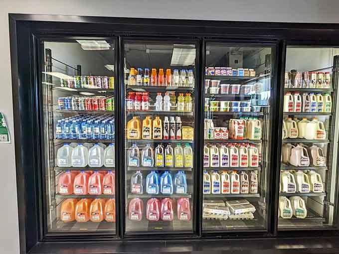 The dairy case displays colorful milk varieties like a rainbow of calcium-fortified possibilities for the whole family.