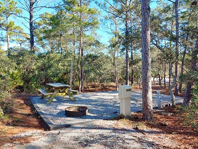Shaded picnic spots offer front-row seats to nature's show, complete with occasional wildlife cameos and lake views.