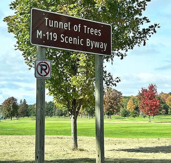 Finally, a sign that under-promises and over-delivers—the scenic byway of your dreams awaits ahead.