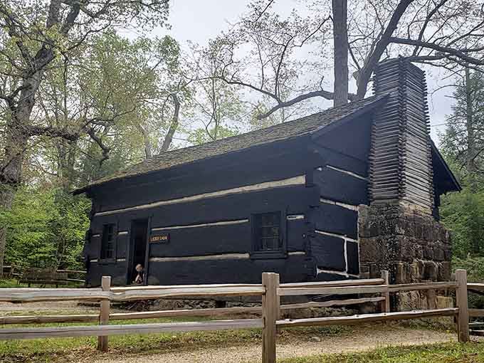 Pioneer craftsmanship stands strong, this historic log cabin proving that quality construction never goes out of style.