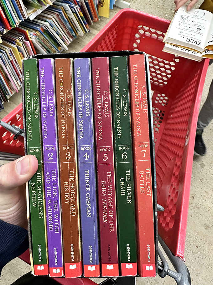 The Chronicles of Narnia complete set for less than a fancy coffee&mdash;now that's what we call magical.