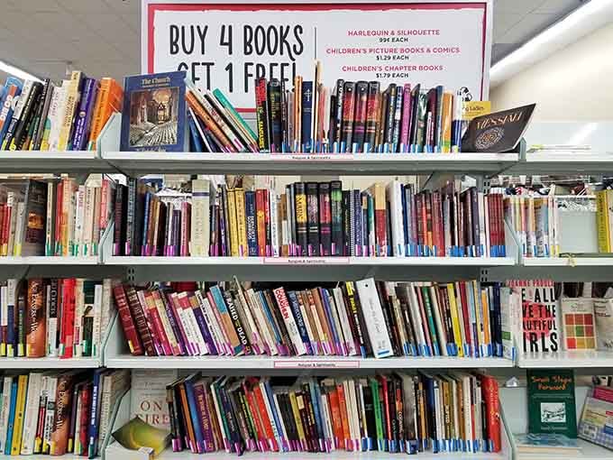 Books offering everything from romance to mystery, because building a home library shouldn't require a second mortgage.