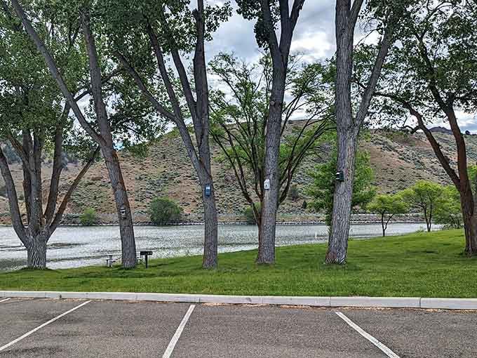 Paved sites with mountain backdrops mean your RV gets better views than most luxury condos ever will.