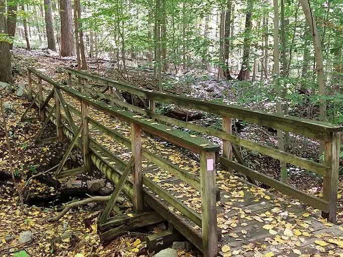 Rustic bridges like this one turn ordinary walks into adventures worthy of your favorite childhood storybook.