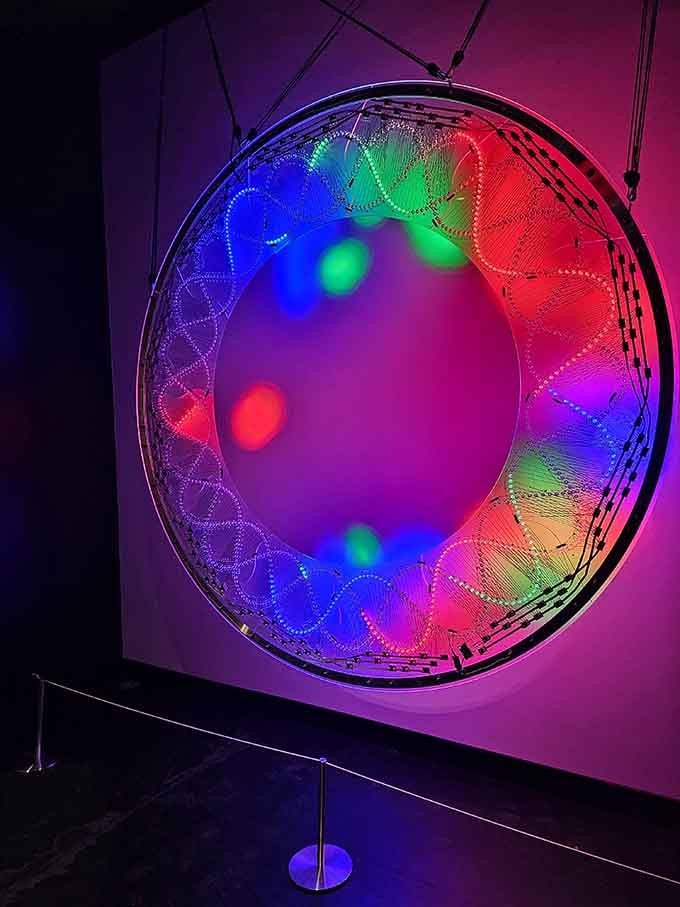 Step into a color spectrum that looks like Pantone's fever dream, where every shade gets its moment to shine gloriously.