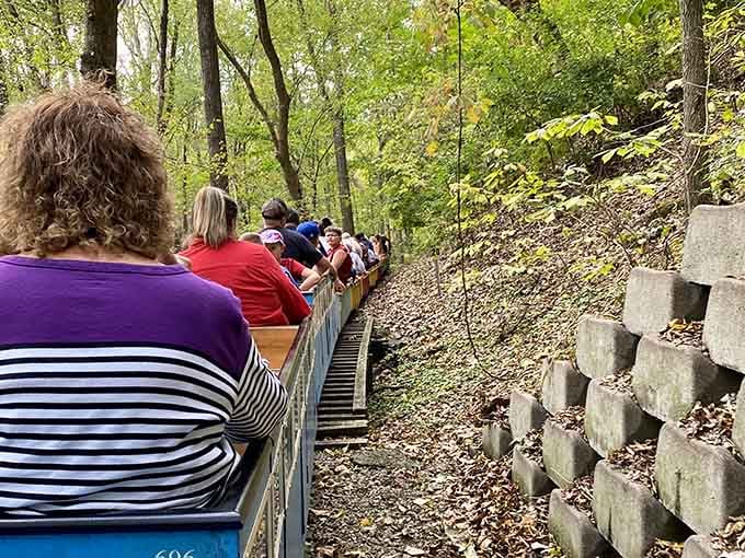 Passengers wind through the woods on a journey that proves adventure doesn't require leaving the greater St. Louis area.