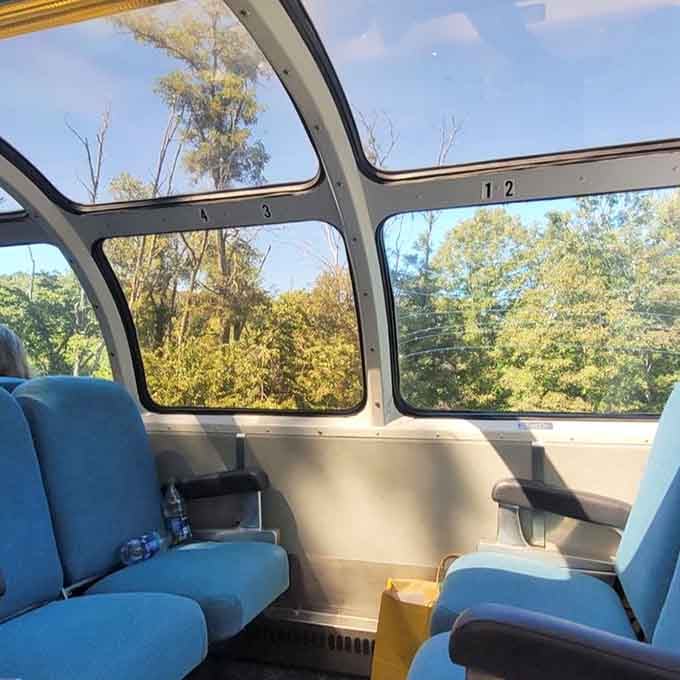 The panoramic dome car offers wraparound windows and blue seats, turning every passenger into a professional scenery critic.