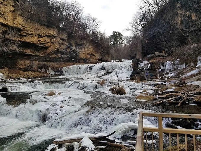 Winter transforms Willow Falls into a frozen sculpture garden that would make Elsa genuinely impressed with nature's artistry.