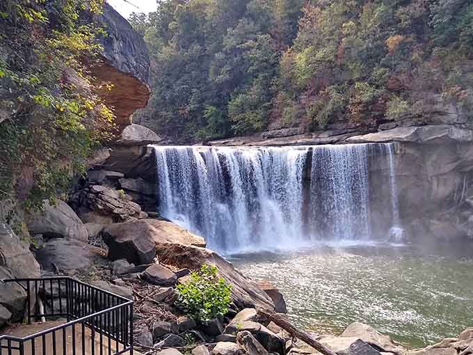 Cumberland Falls reminds you that Kentucky's natural beauty doesn't need filters, just your undivided attention and sturdy shoes.