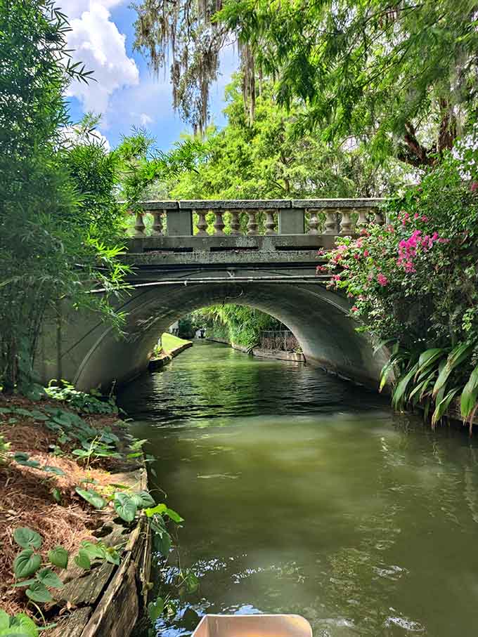 When your commute looks like this, you start questioning every life choice that involves highways and honking.