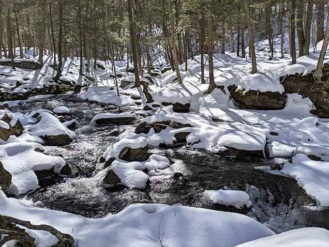 Winter transforms the creek into a frozen wonderland where ice and water perform their annual dance together.