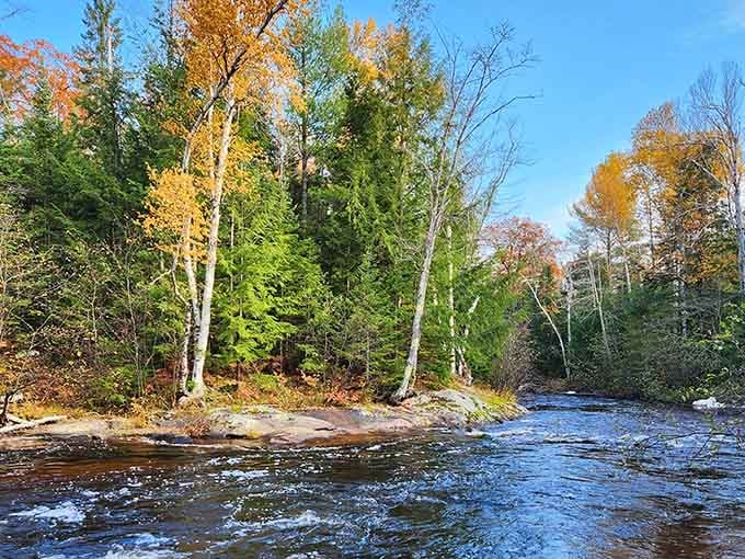 Fall colors frame the river like nature decided to show off its entire paint collection at once.